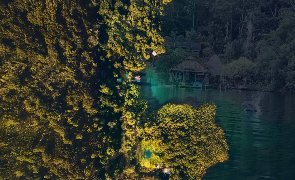 What is the legend of the pink dolphin in Brazil? - Dolphins And You